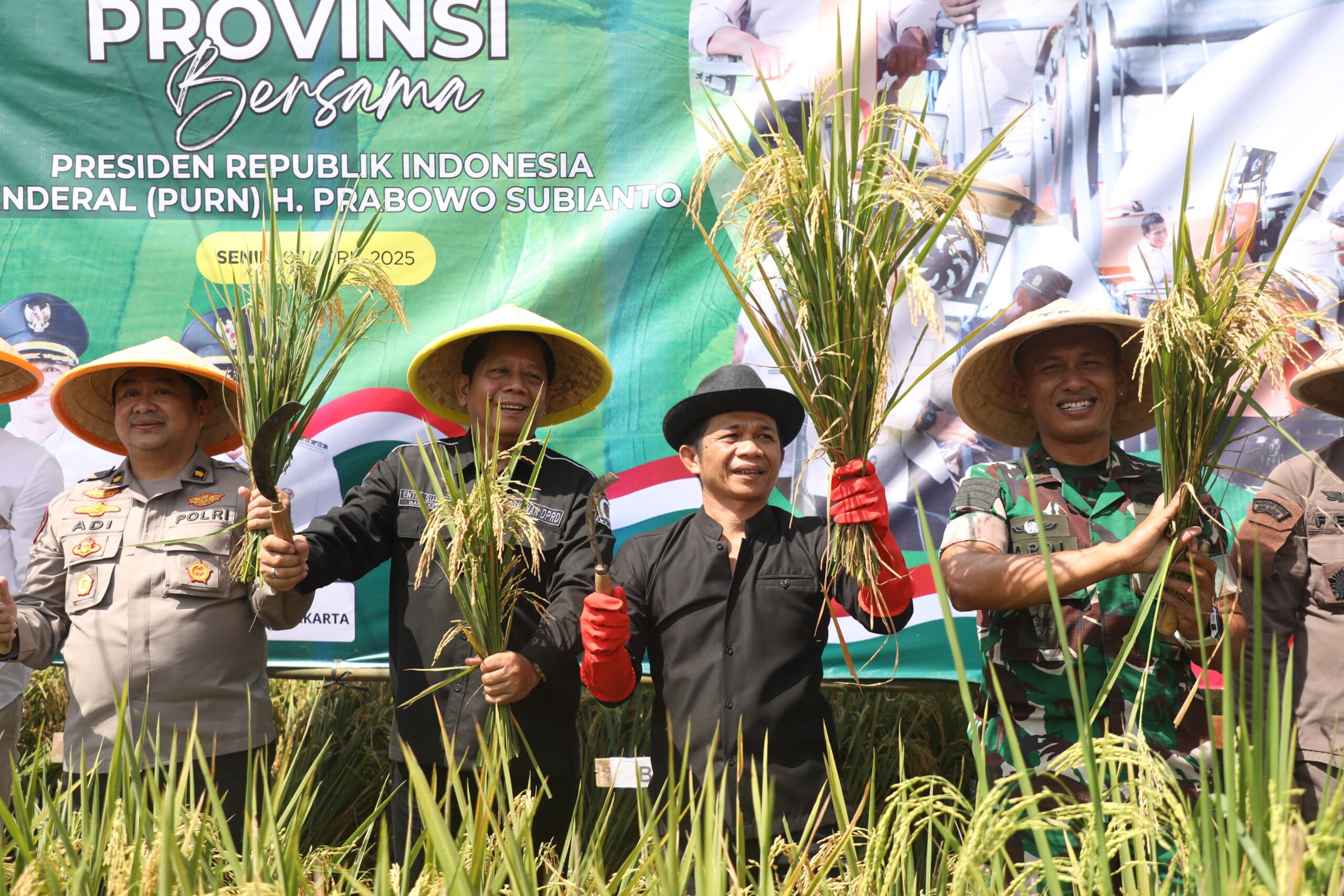 Panen Raya Padi Serentak: Simfoni Kemakmuran dan Ketahanan Pangan ...